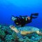 Scuba diving in Fethiye Turkey with pickup from Oludeniz and Hisaronu